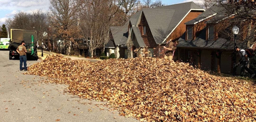 We’re Here to Help With Your Fall Storm Clean Up | acleancutlawncare.com