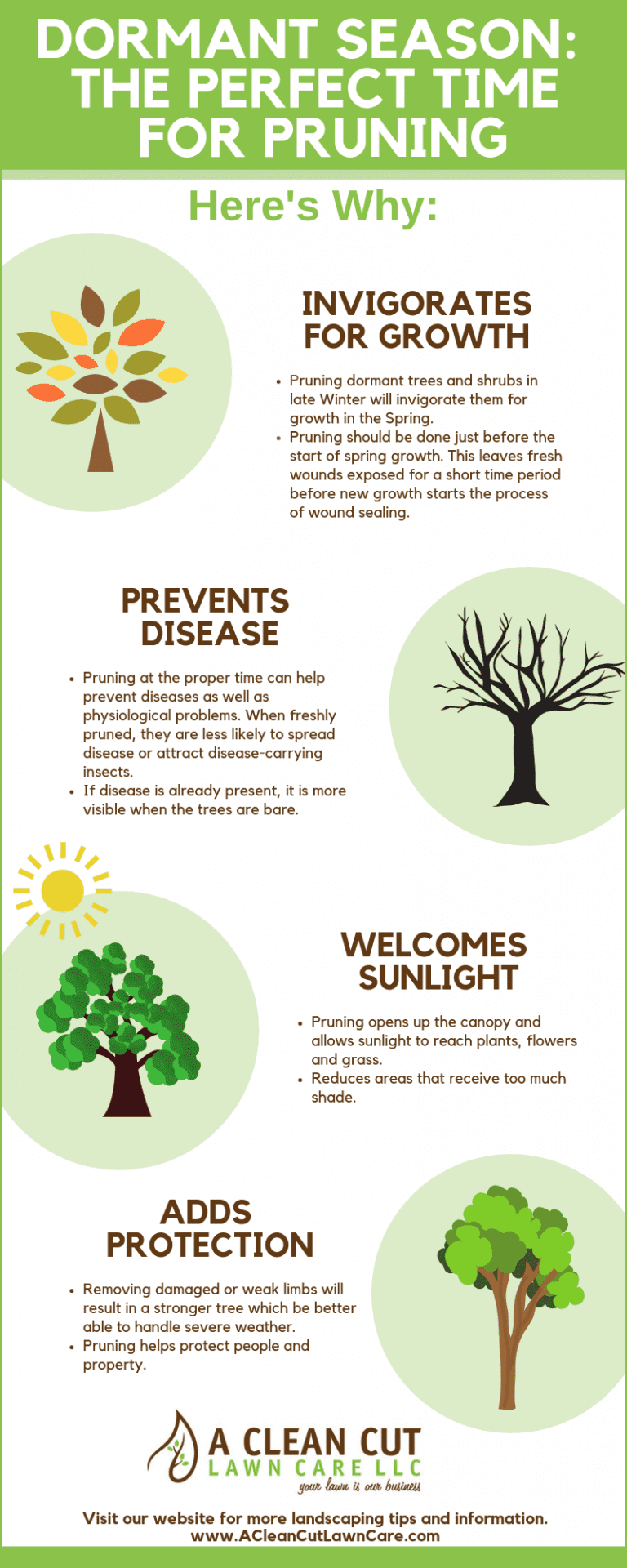 The Importance of Pruning in the Winter Dormant Season ...