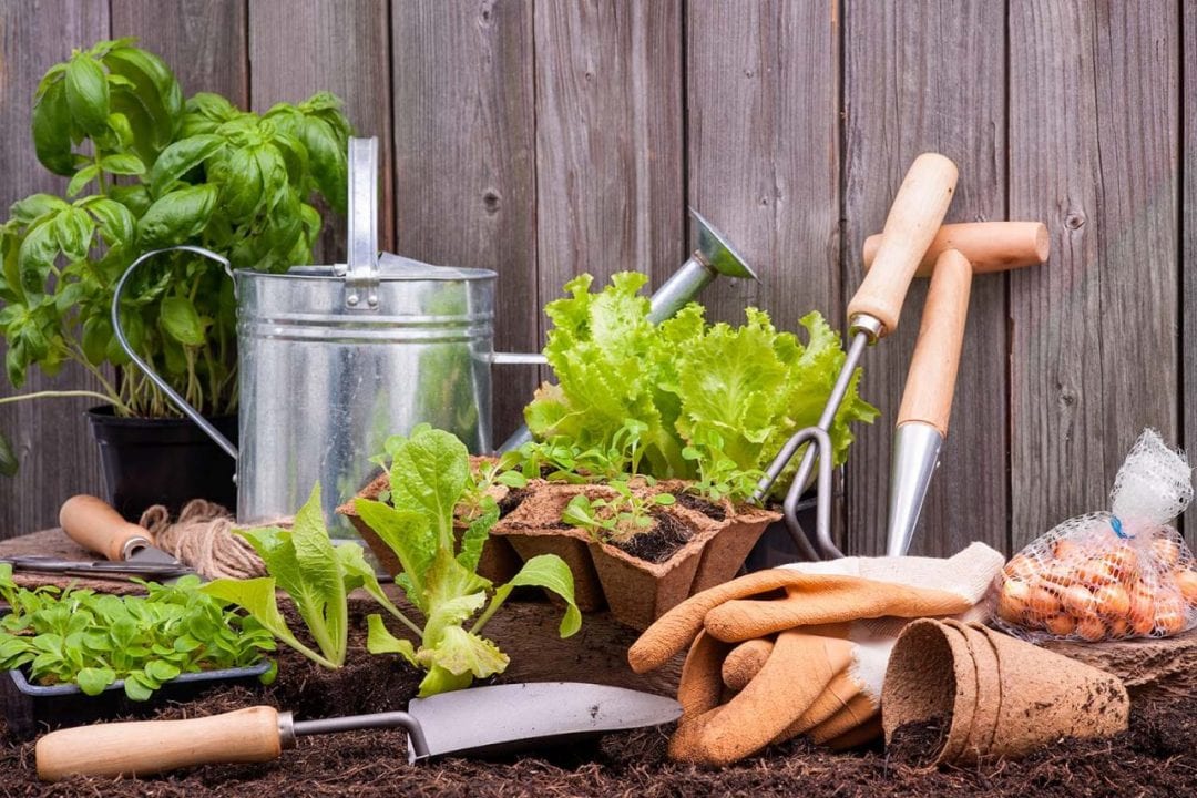 What Accessories Do You Need To Create A Beautiful Garden ...